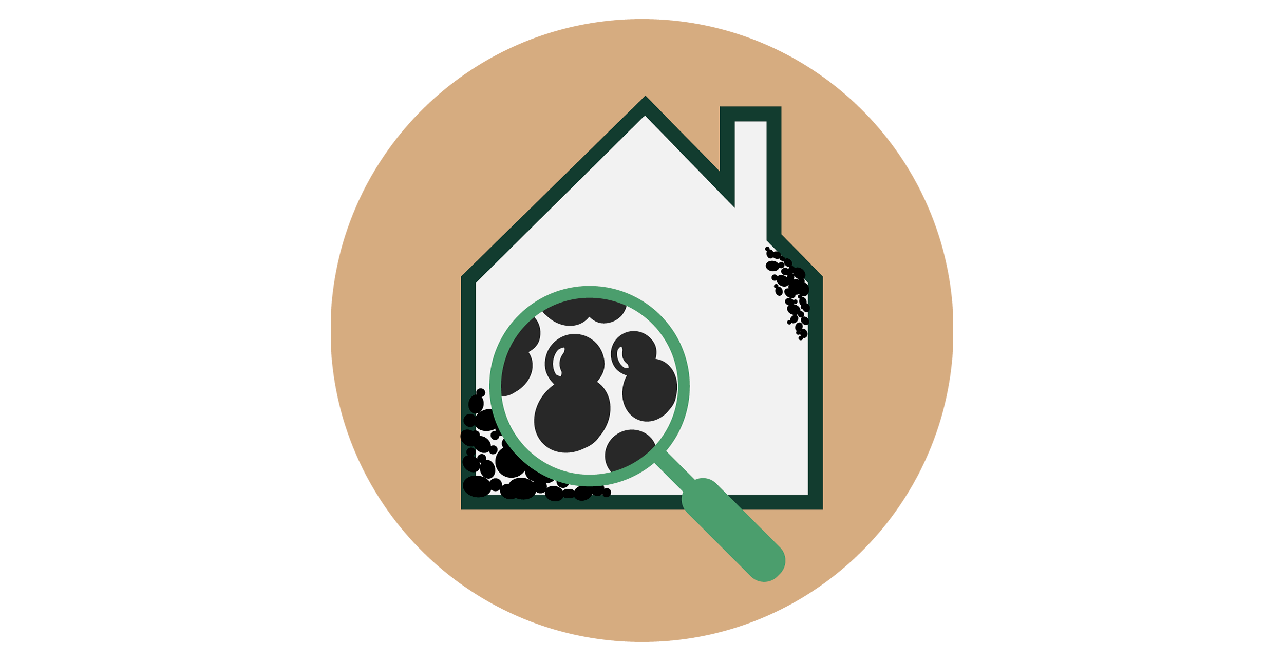 Skimmel - DMR A/S - dmr.dk