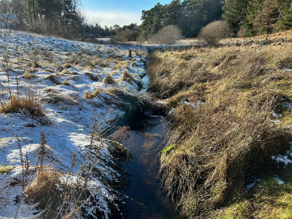 Udledningstilladelser - DMR A/S - dmr.dk