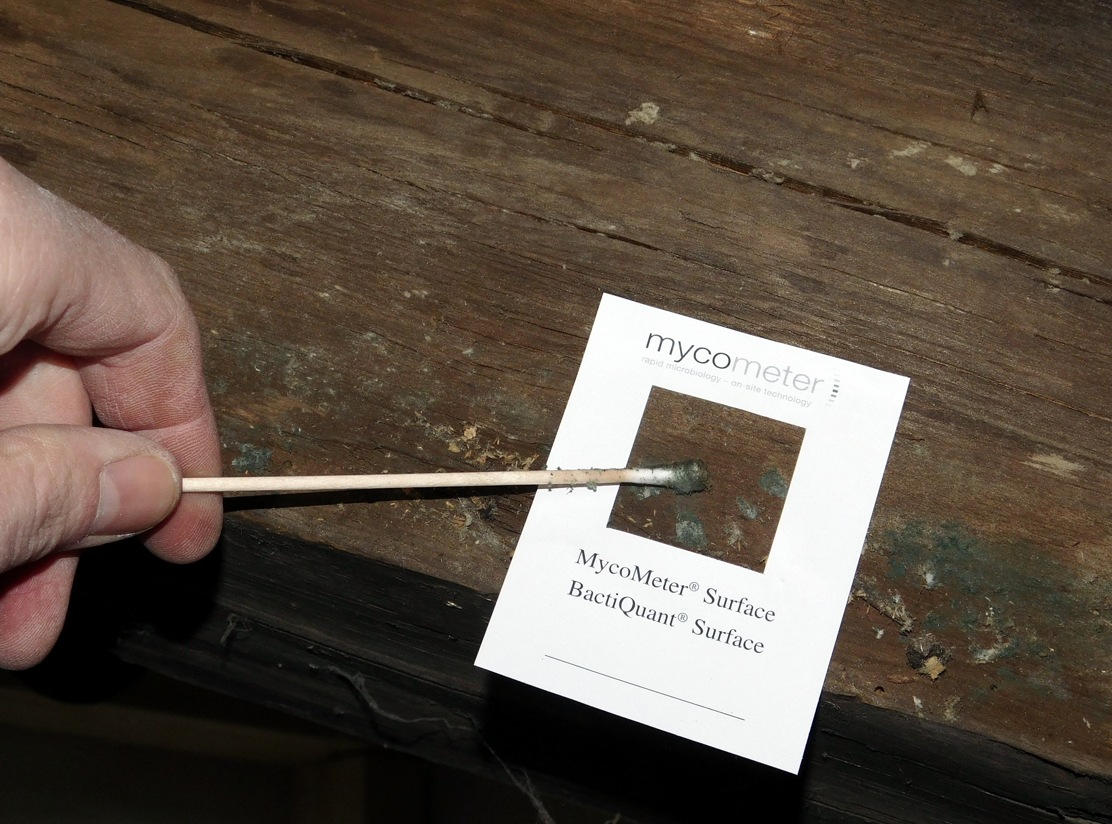 Mycometer®Surface-test – analyse for skimmelsvampevækst – DMR - dmr.dk