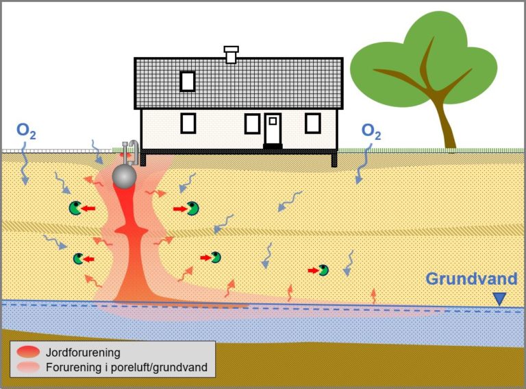 Naturlig nedbrydning af forurening i jord og grundvand – DMR - dmr.dk